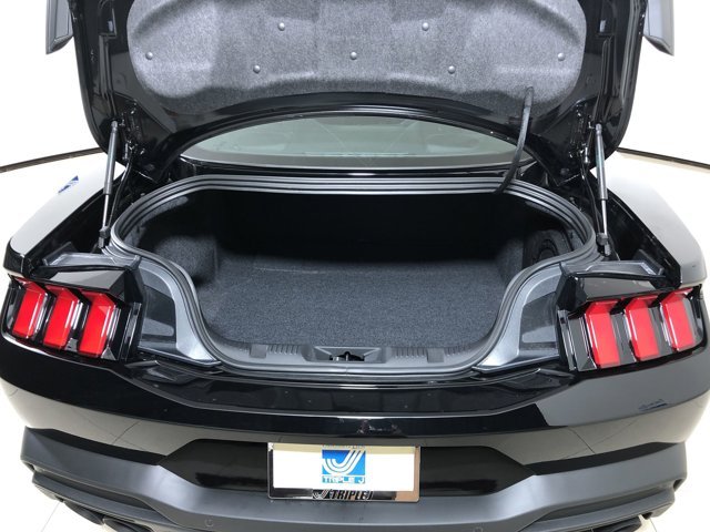New 2025 Ford Mustang Dark Horse w/Appearance & Handling Package 2dr ...