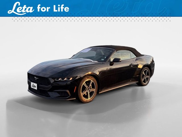 Frank Leta Used Cars
